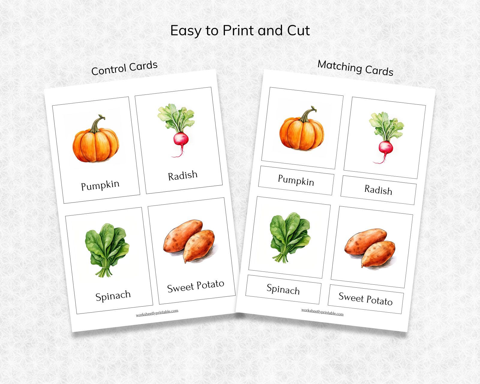 Nourish Young Minds with 34 Vegetables Flashcards – A Colorful Learning ...