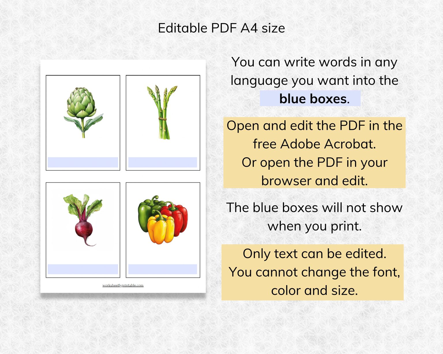 Nourish Young Minds with 34 Vegetables Flashcards – A Colorful Learning ...